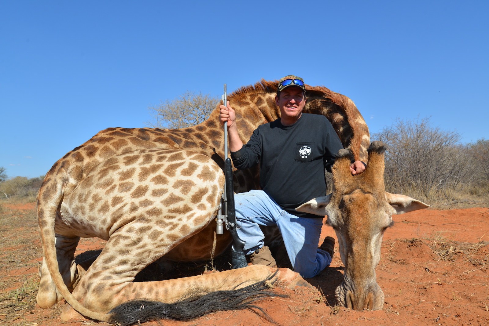 Cheetah Safaris