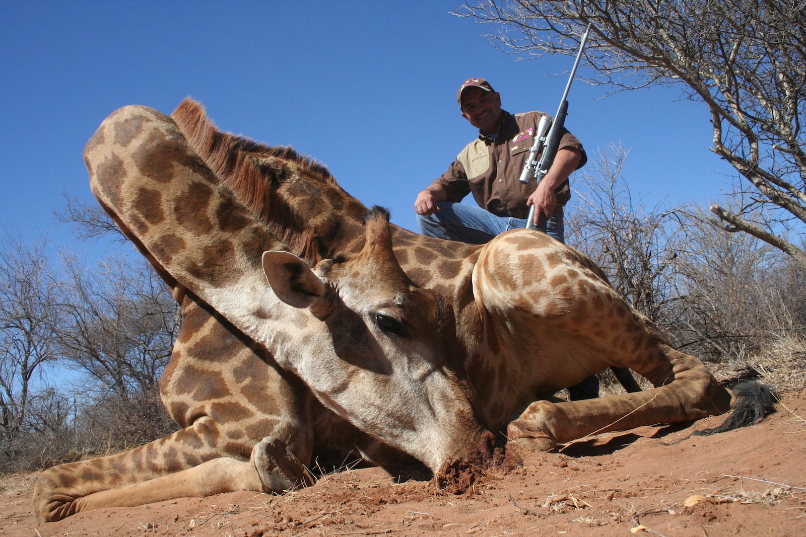 Cheetah Safaris
