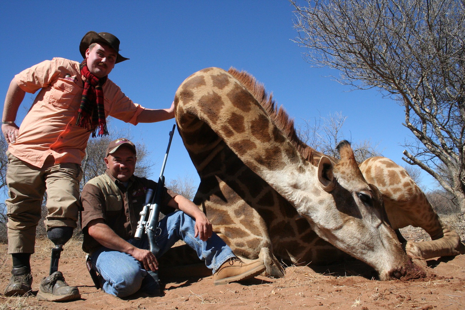 Cheetah Safaris