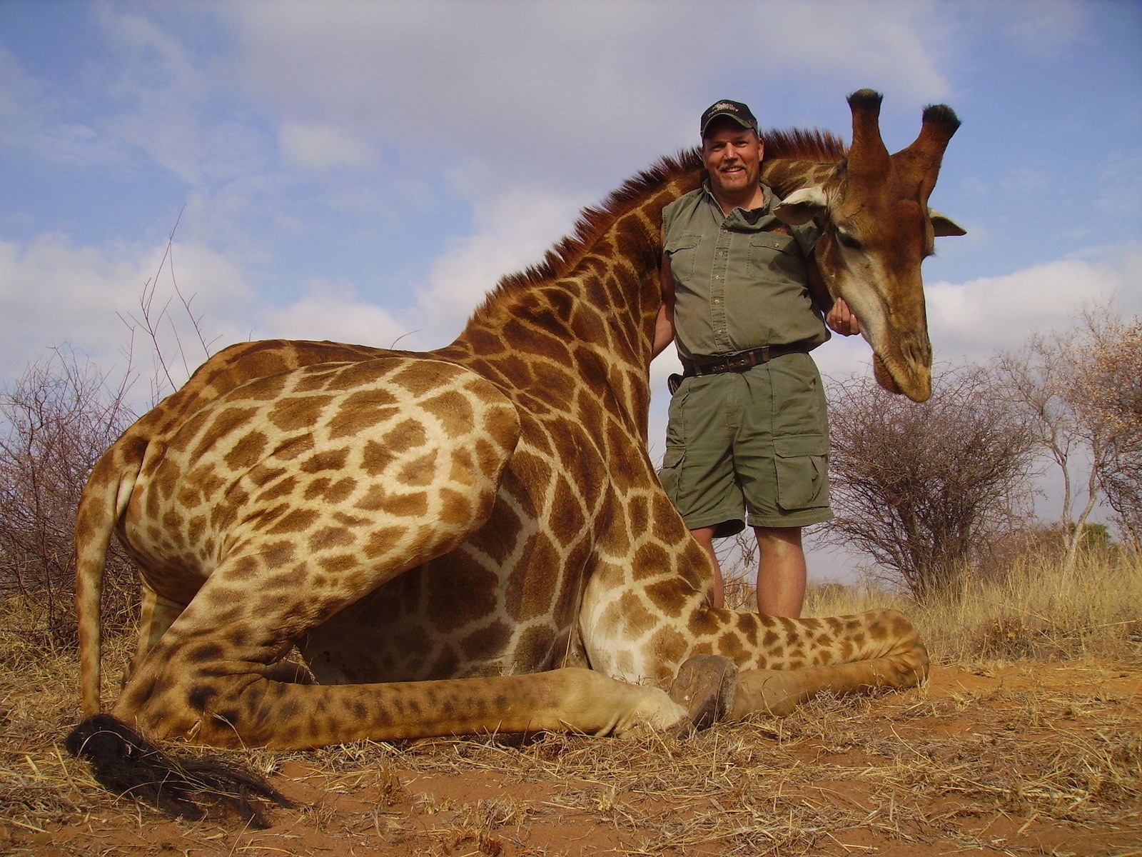 Cheetah Safaris