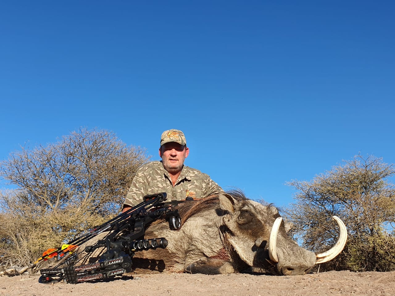 Cheetah Safaris