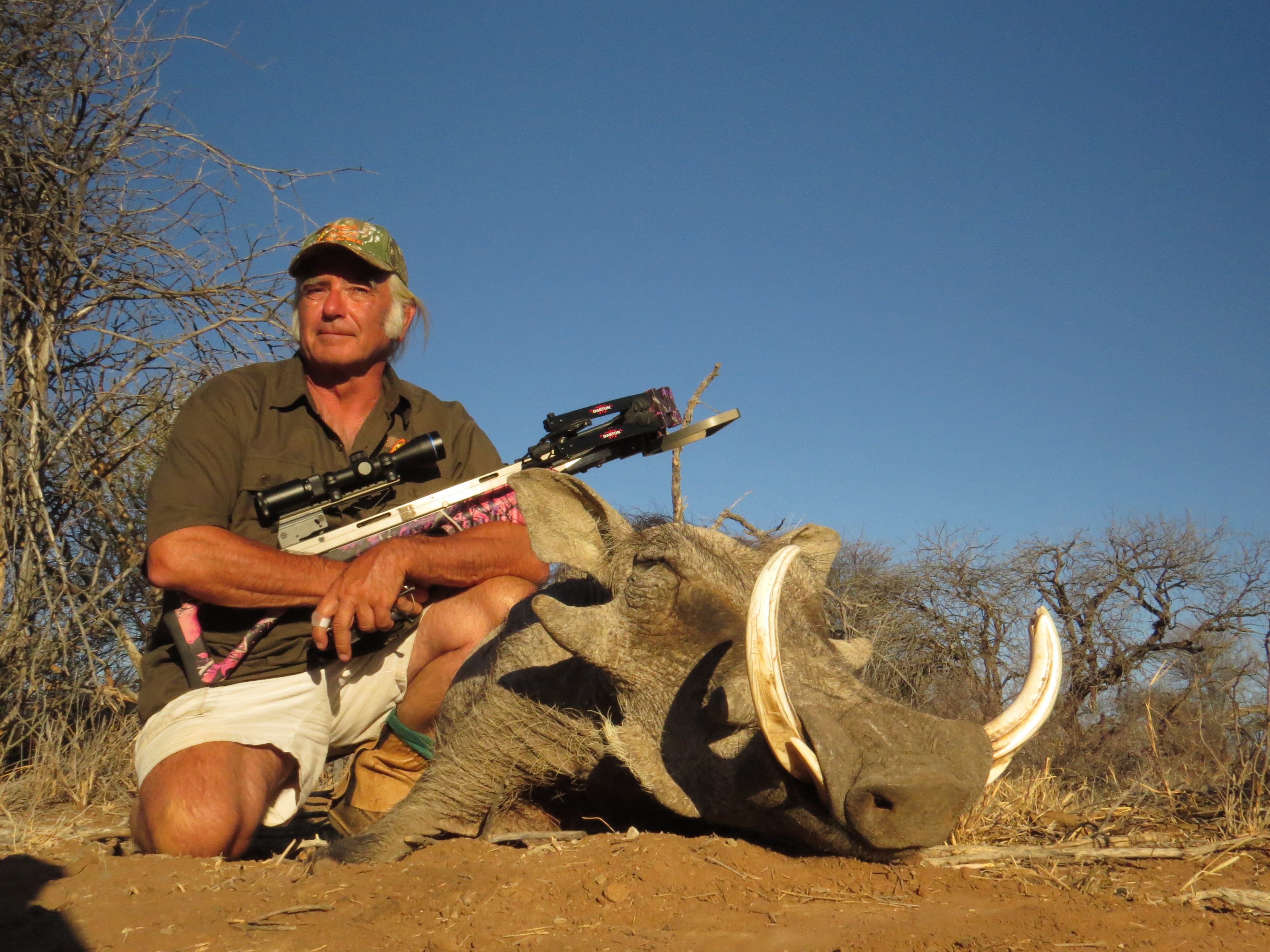 Cheetah Safaris