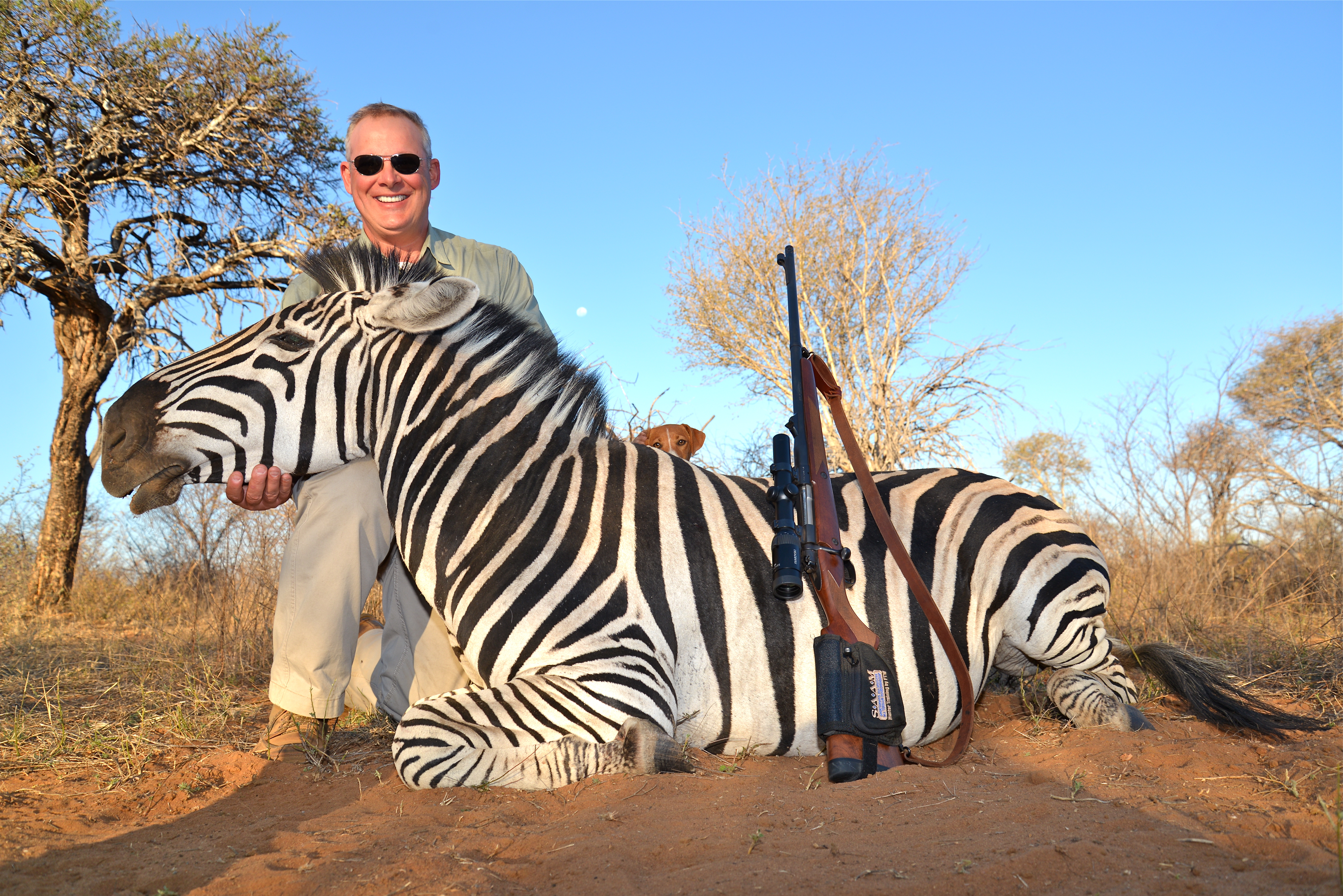 Cheetah Safaris